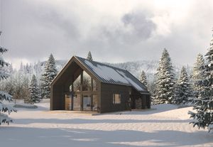 Fjällhus 1